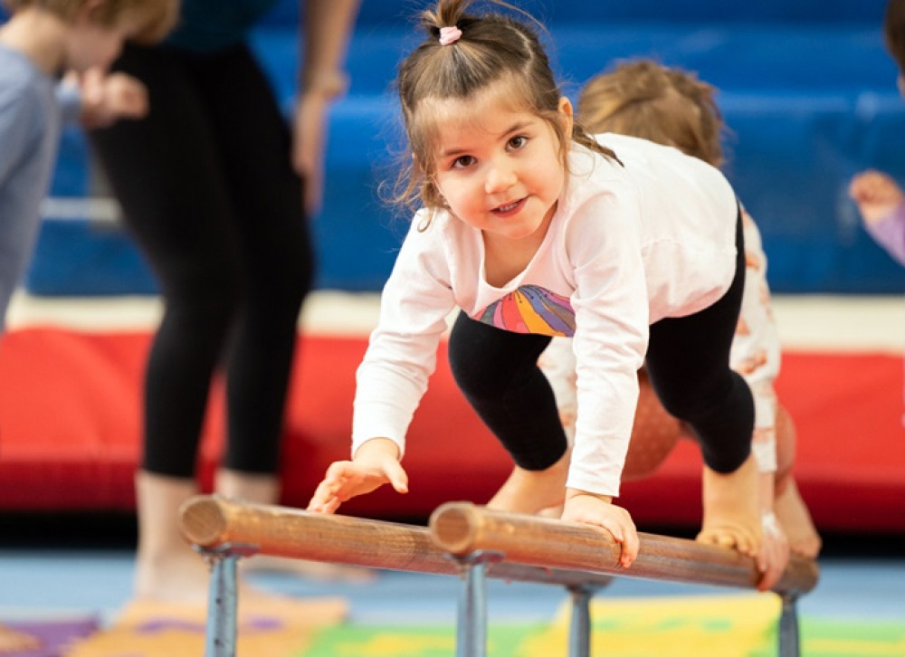 Progressive Gymnastics Program for Under 6’s: A Holistic Approach for ...