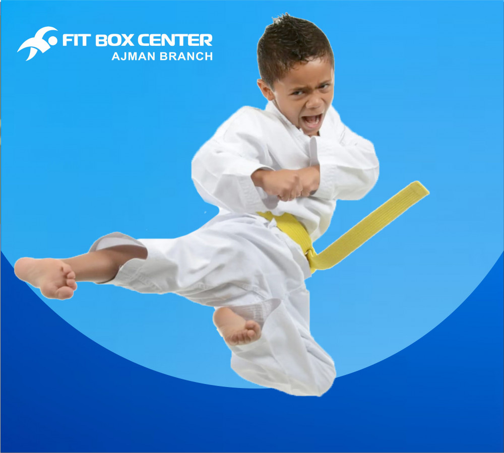 Introduction to Silhouette Karate Front Kick | Fit Box Center