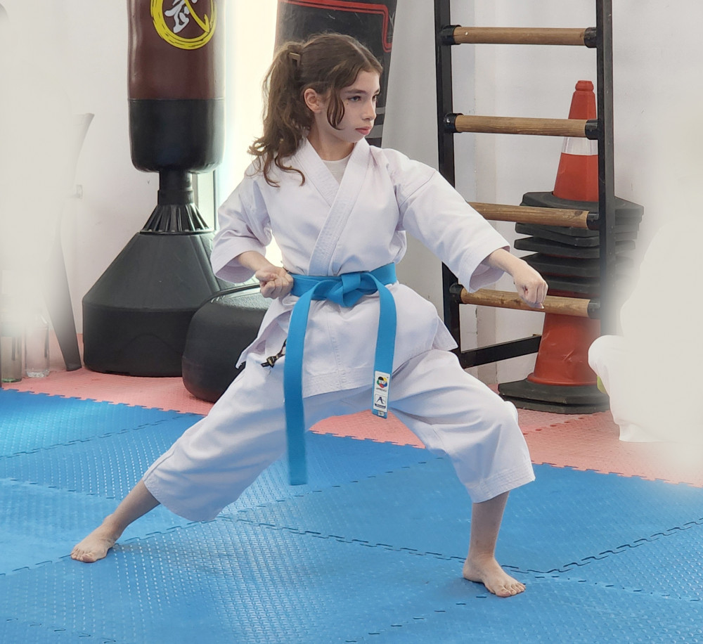 Blue Belt Kata Karate