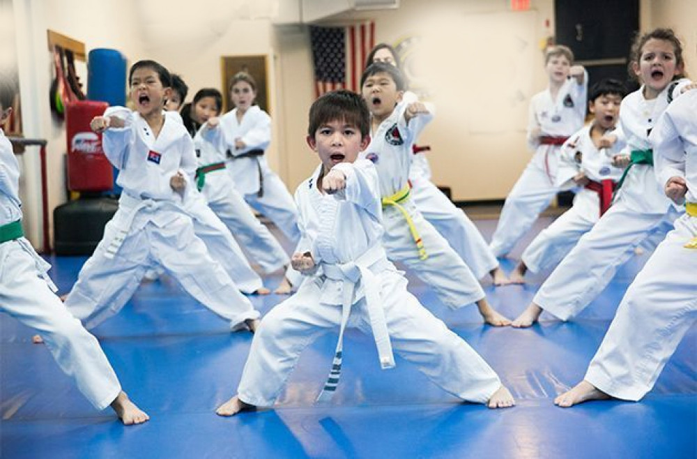 Learn Martial Arts Karate for Kids to Perform Professionally | Fit Box ...