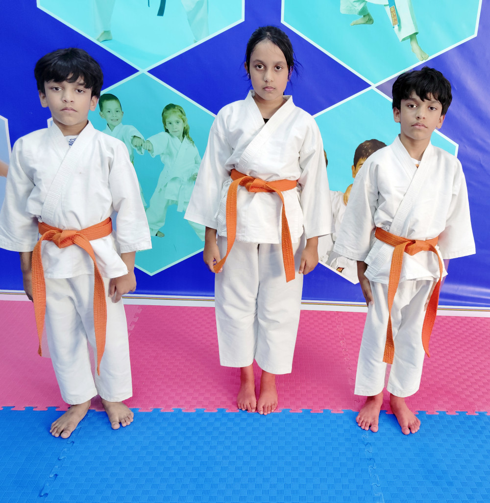 A successful performance at the Orange Belt level highlights not only ...